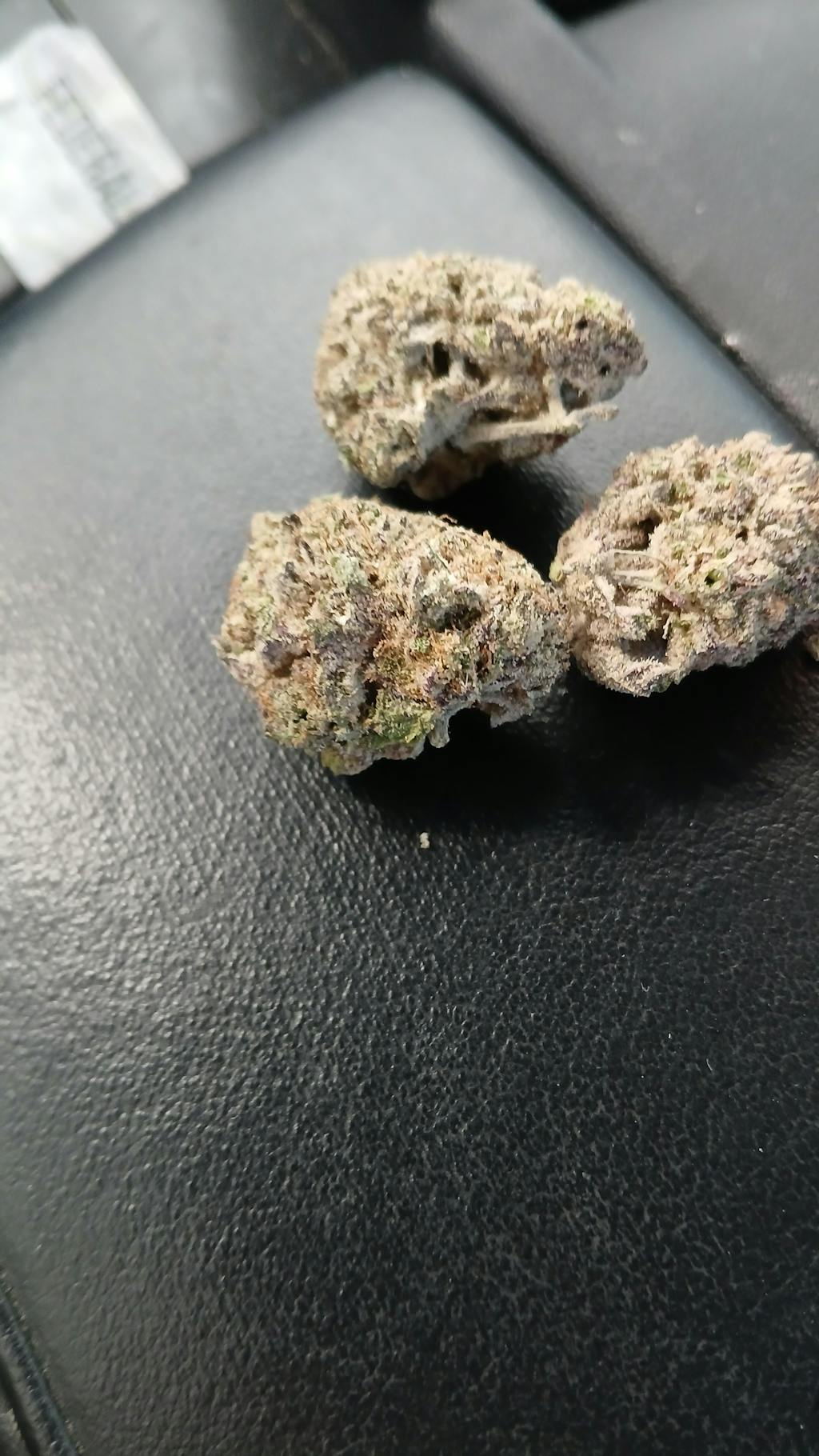 Trump Runtz Strain - THCA Flower by 25 Hour Farms