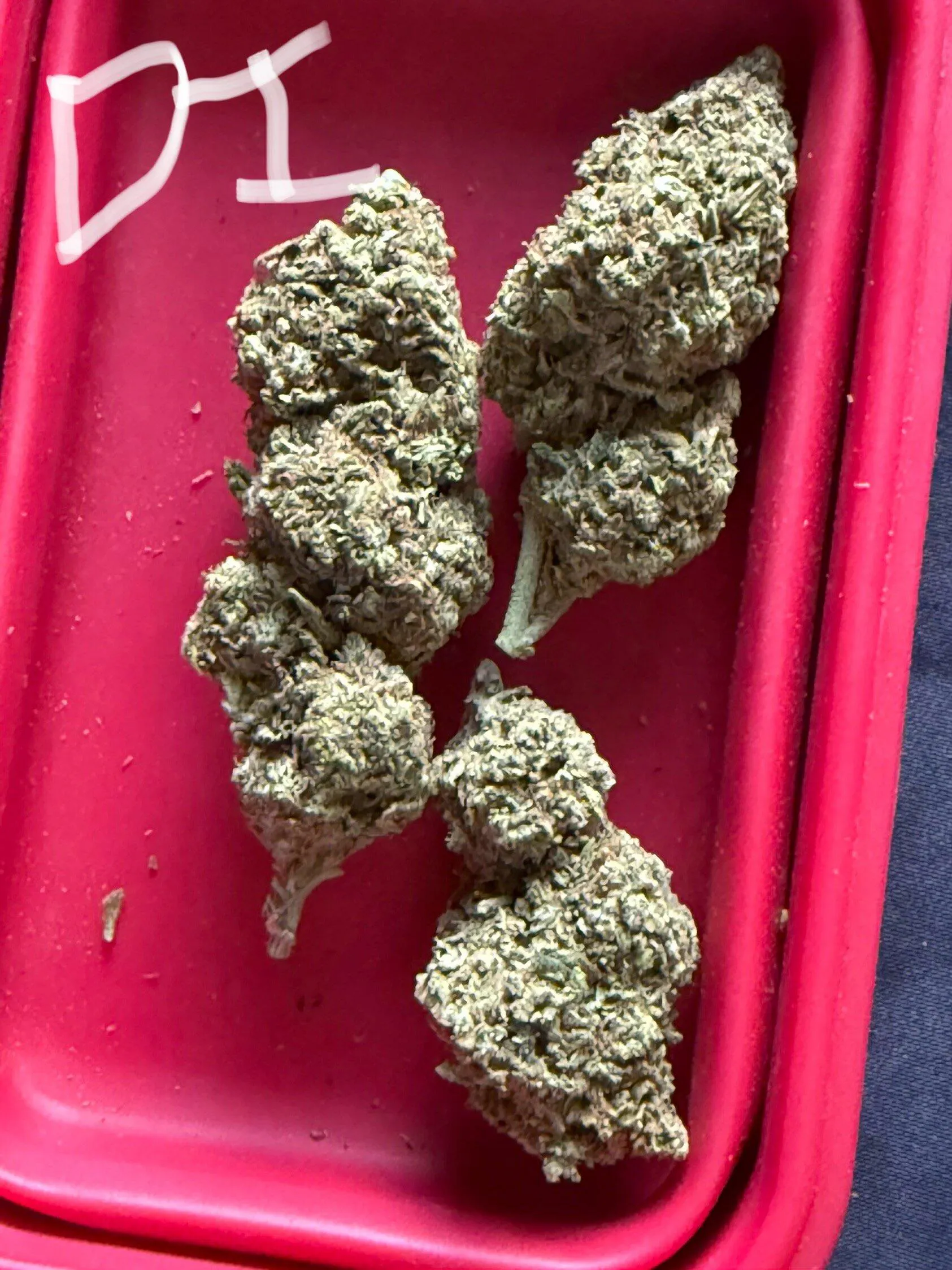 Glitter Bomb Strain - THCA Flower by 25 Hour Farms