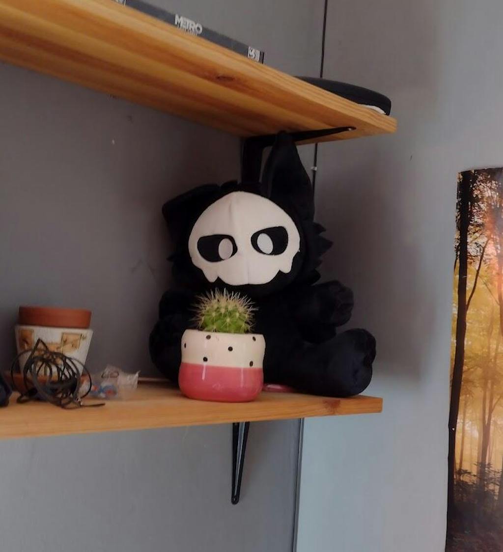 Changed Cute Puro Plush Toy 42shops