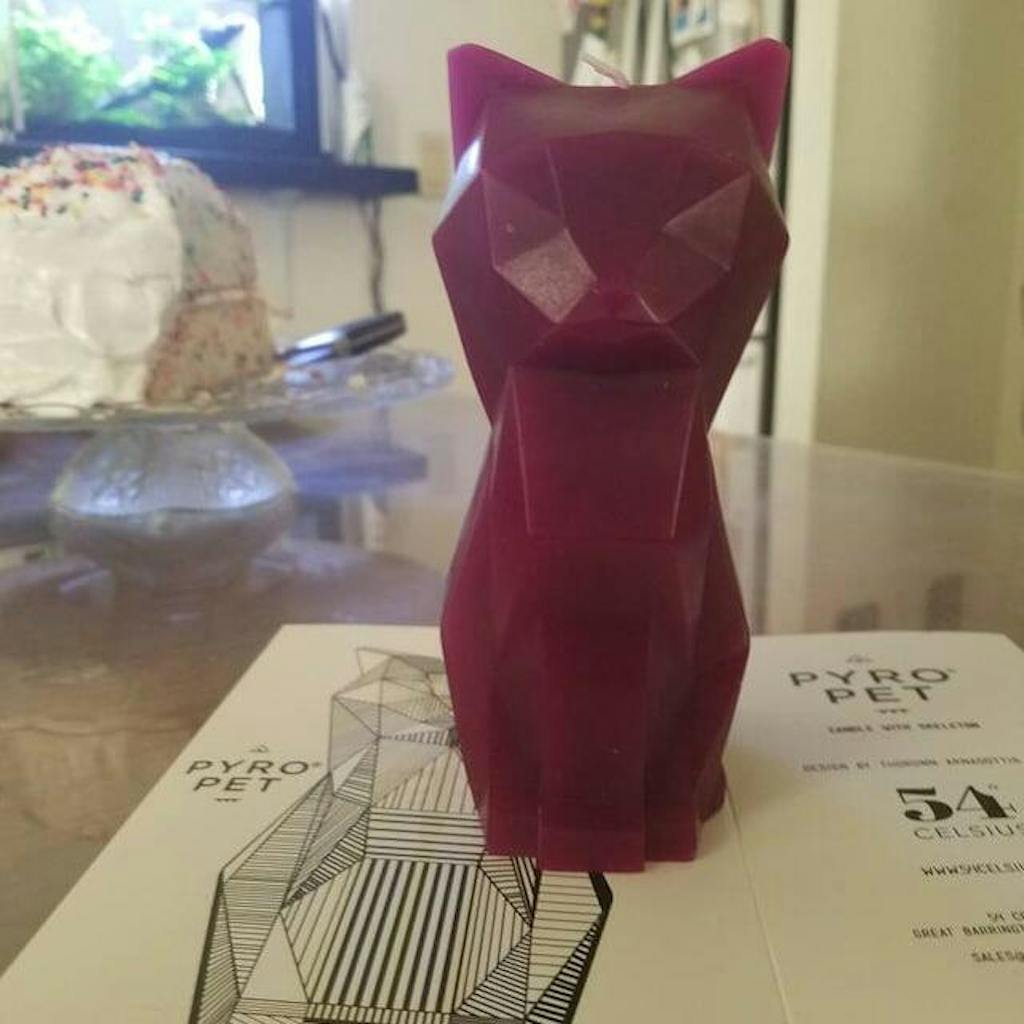 PyroPet Kisa Cat Candle - Burgundy