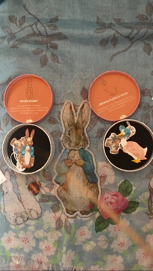 Peter Rabbit Brooch
