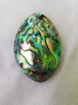 Ocean Abalone Shell – MindfulSouls