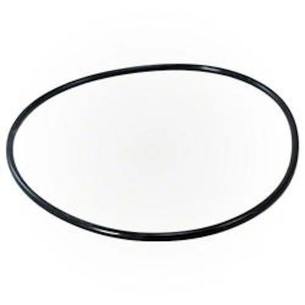 Pentair Body O-Ring 87300400Z | Pentair 87300400Z — Sunplay