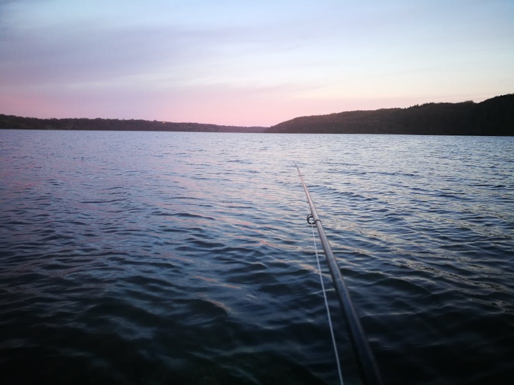 EZ Back Cast Floating Fly Line with Overhang Marker®️ | Sunray Fly Line