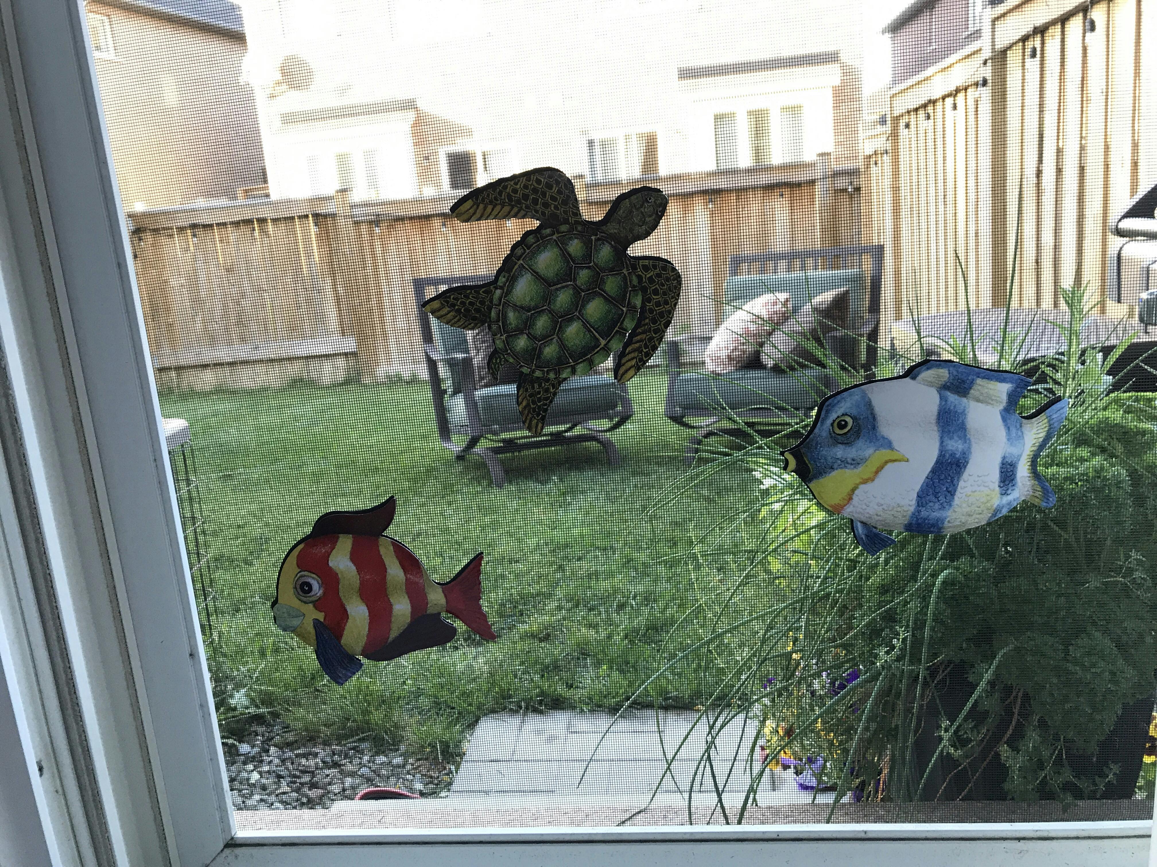 Red & Gold Fish Screen Door Magnets (5.75" x 5.5")