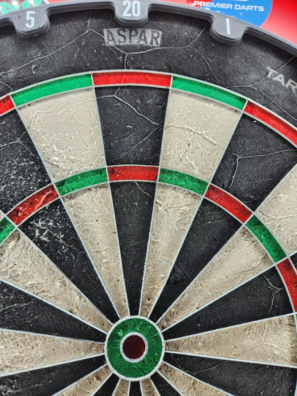 Target Aspar Professional Steel Tip Dartboard