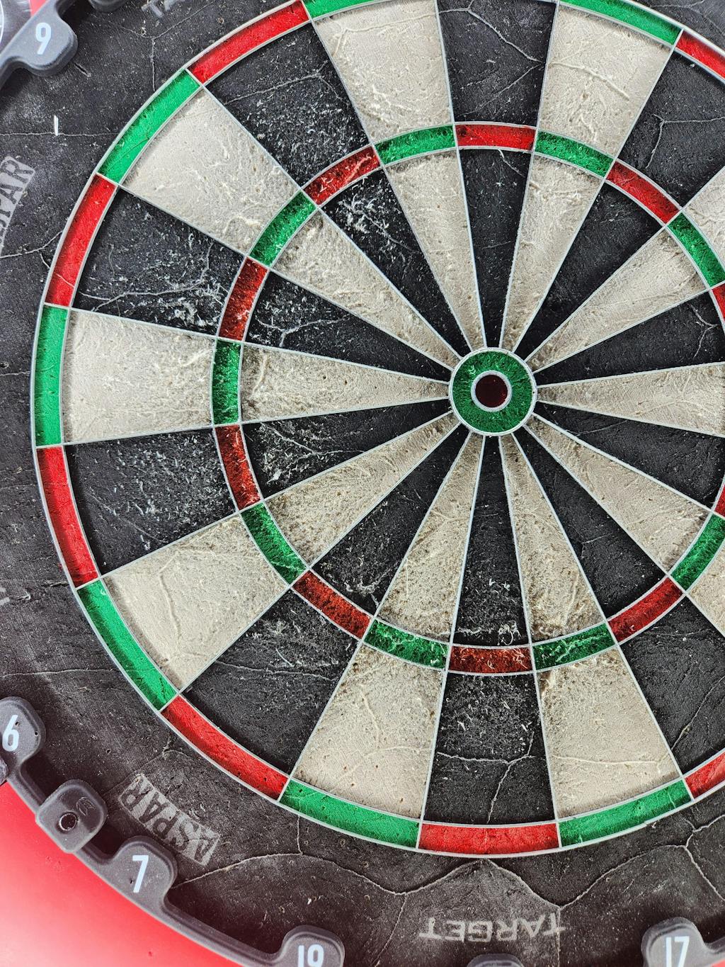 Target Aspar Professional Steel Tip Dartboard