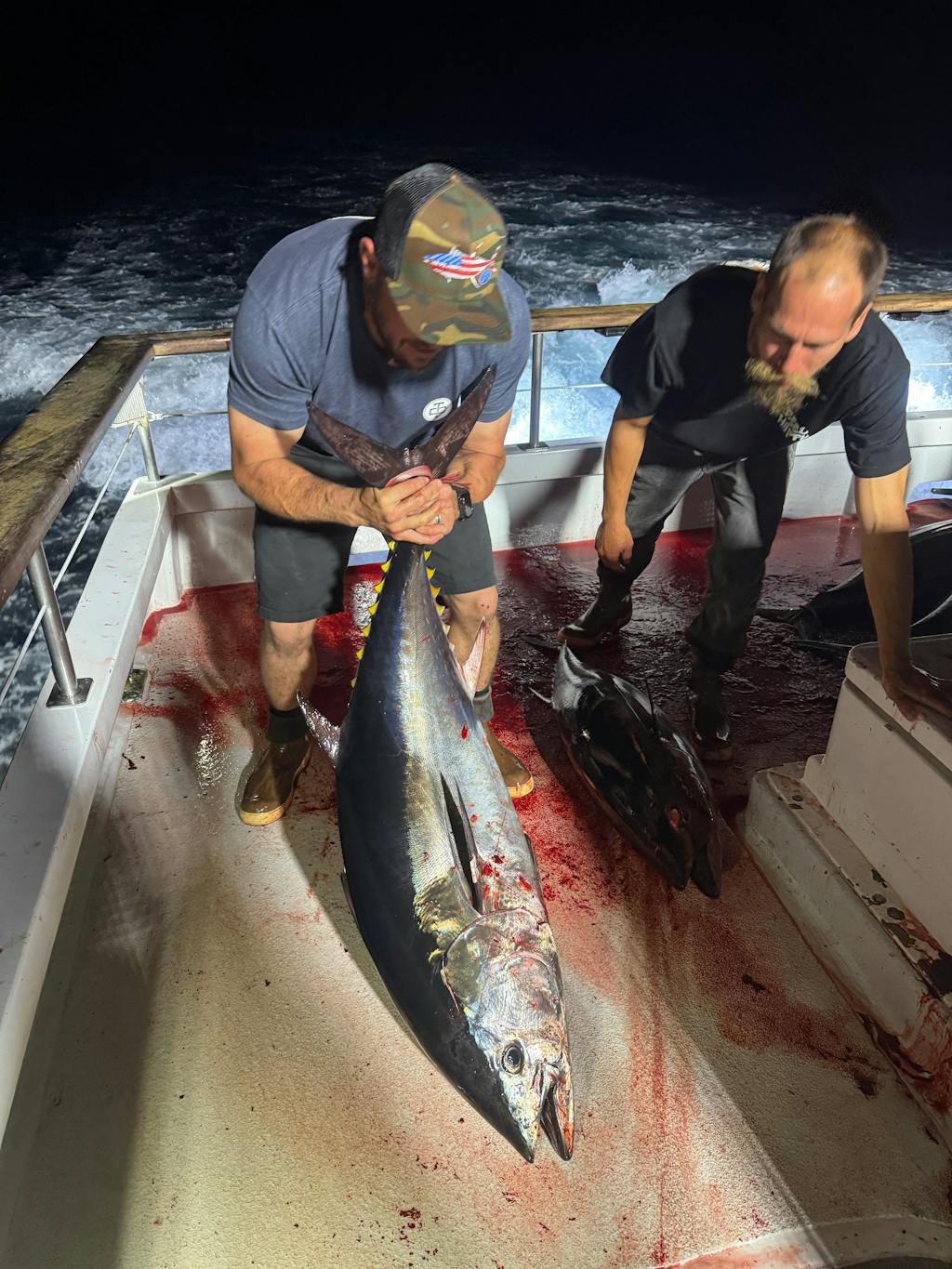 Accurate Valiant 2 Fishing Reel | Light-weight, Durable, Great Control ...