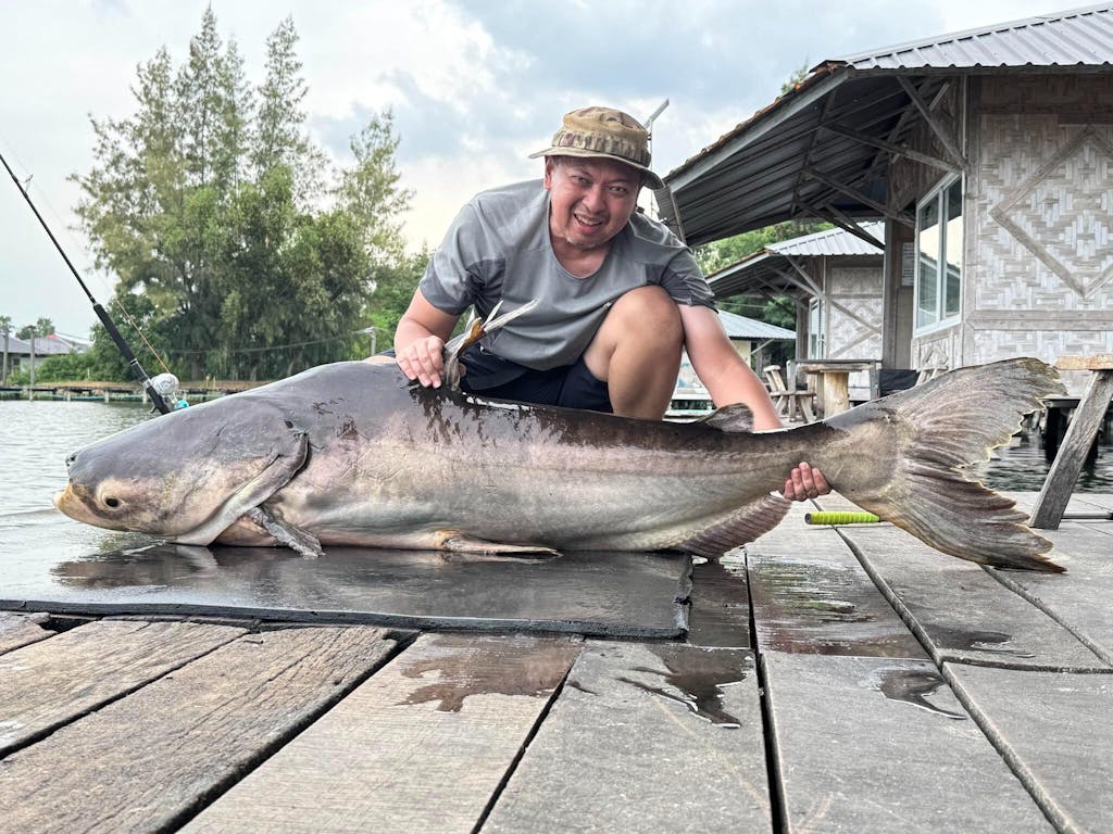 Accurate Valiant 2 Fishing Reel | Light-weight, Durable, Great Control ...