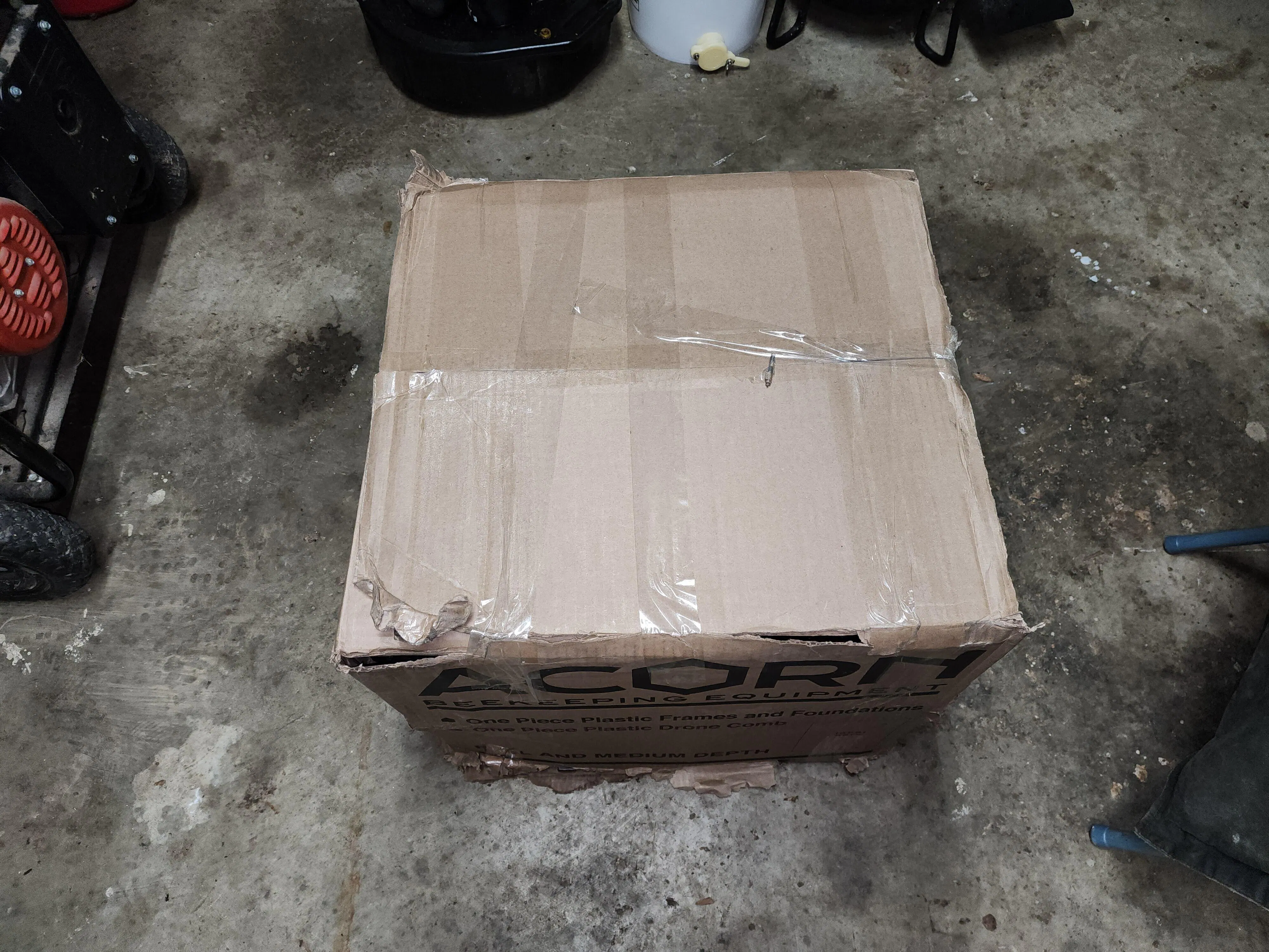One-Piece Plastic Bee Frames | Beekeeping Equipment – Acorn Bee LLC