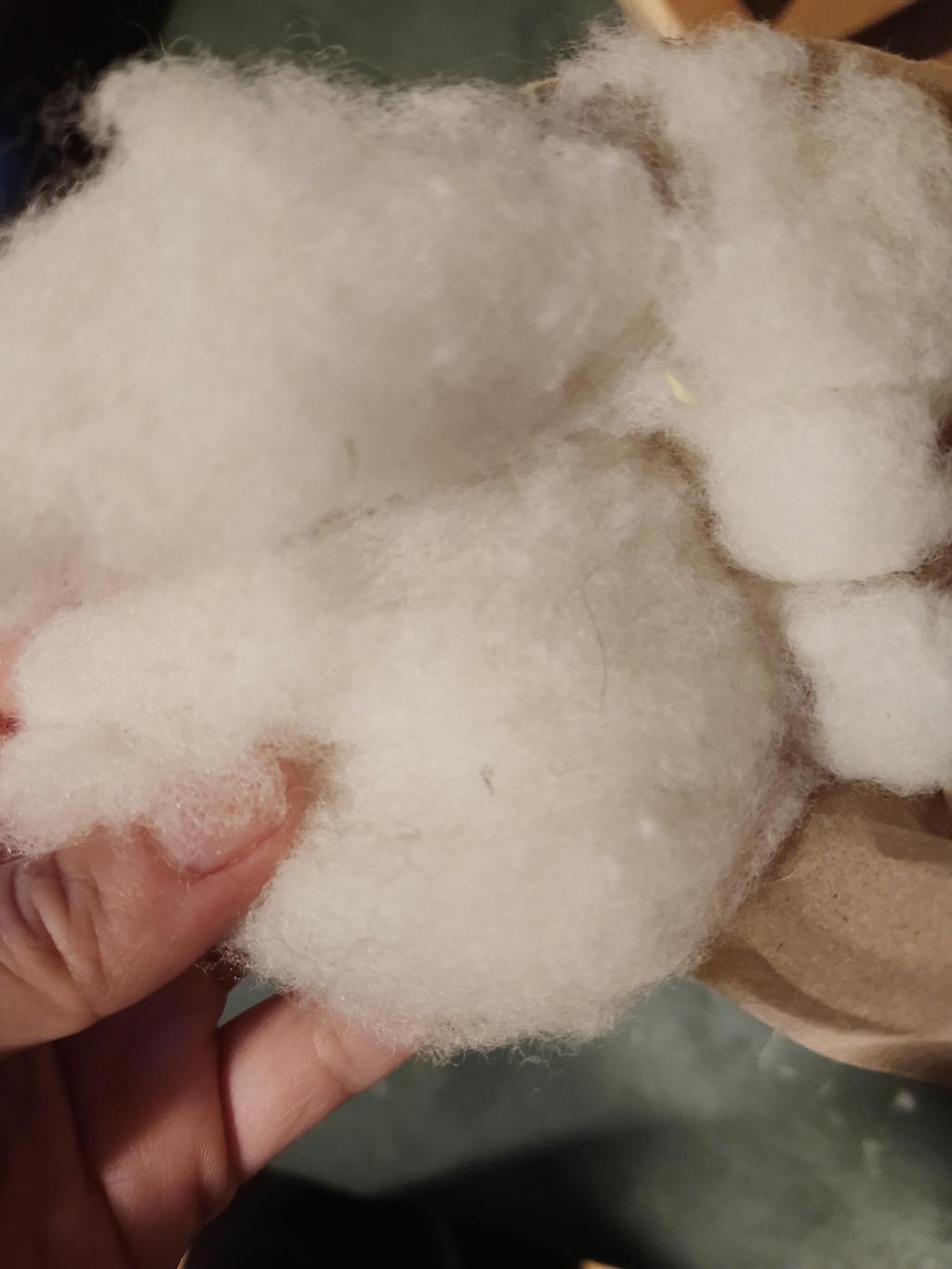 Buy Organic Merino Core Stuffing Wool Online | Acorns & Twigs