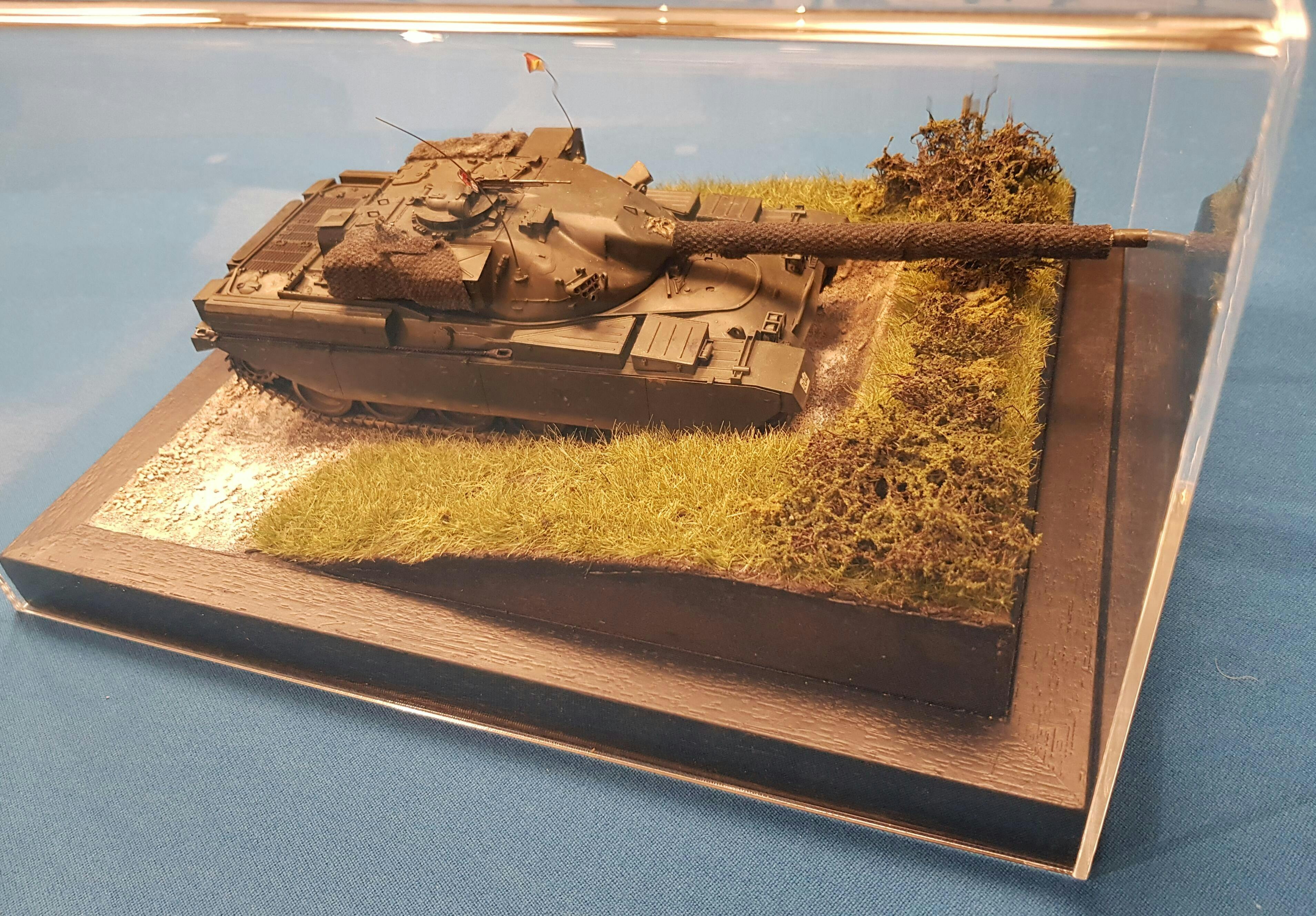 Custom Sized Display Case with a Modern Base (Choice of Base Colours ...