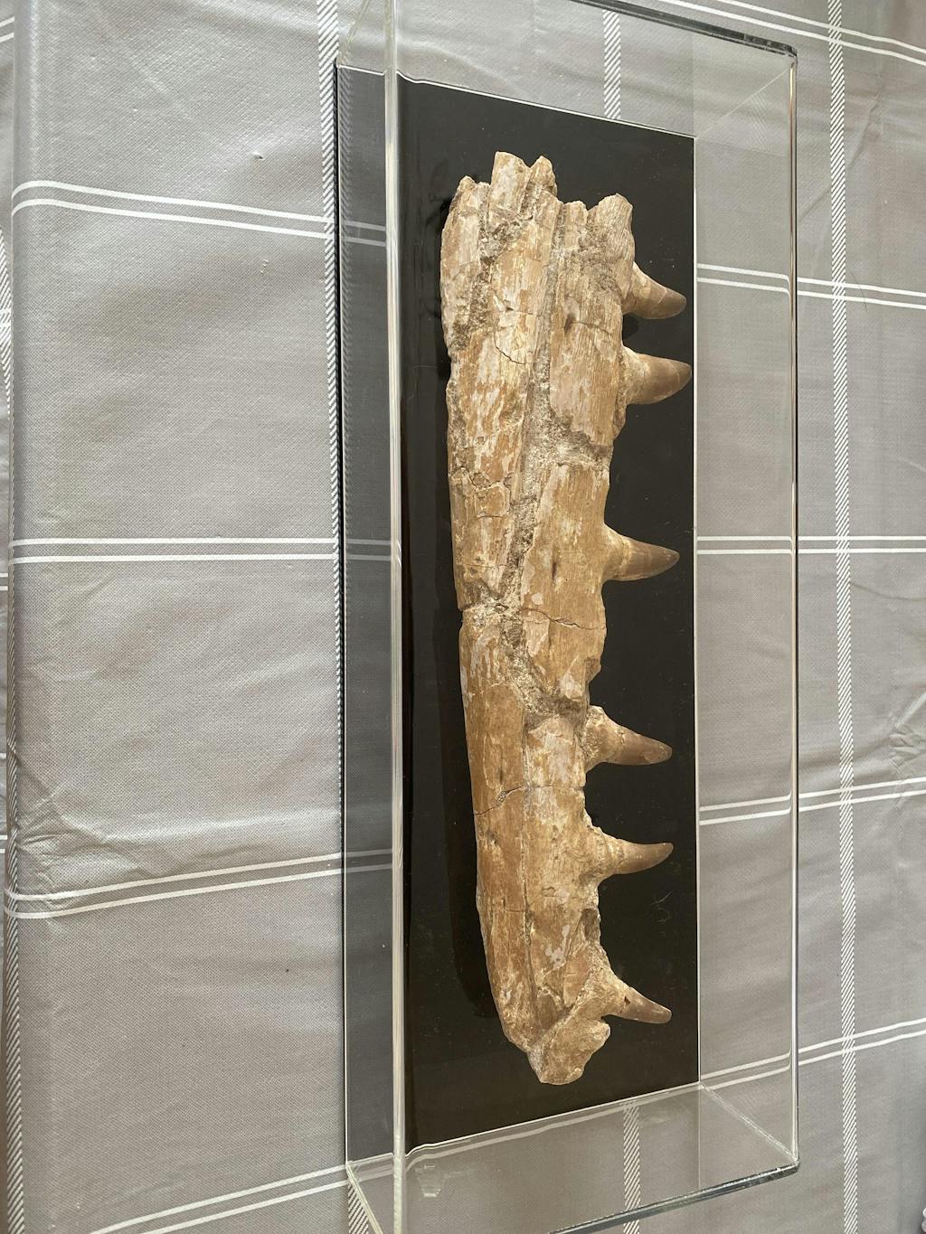 Custom Sized Acrylic Display Case with a Flat Acrylic Base (Choice of ...