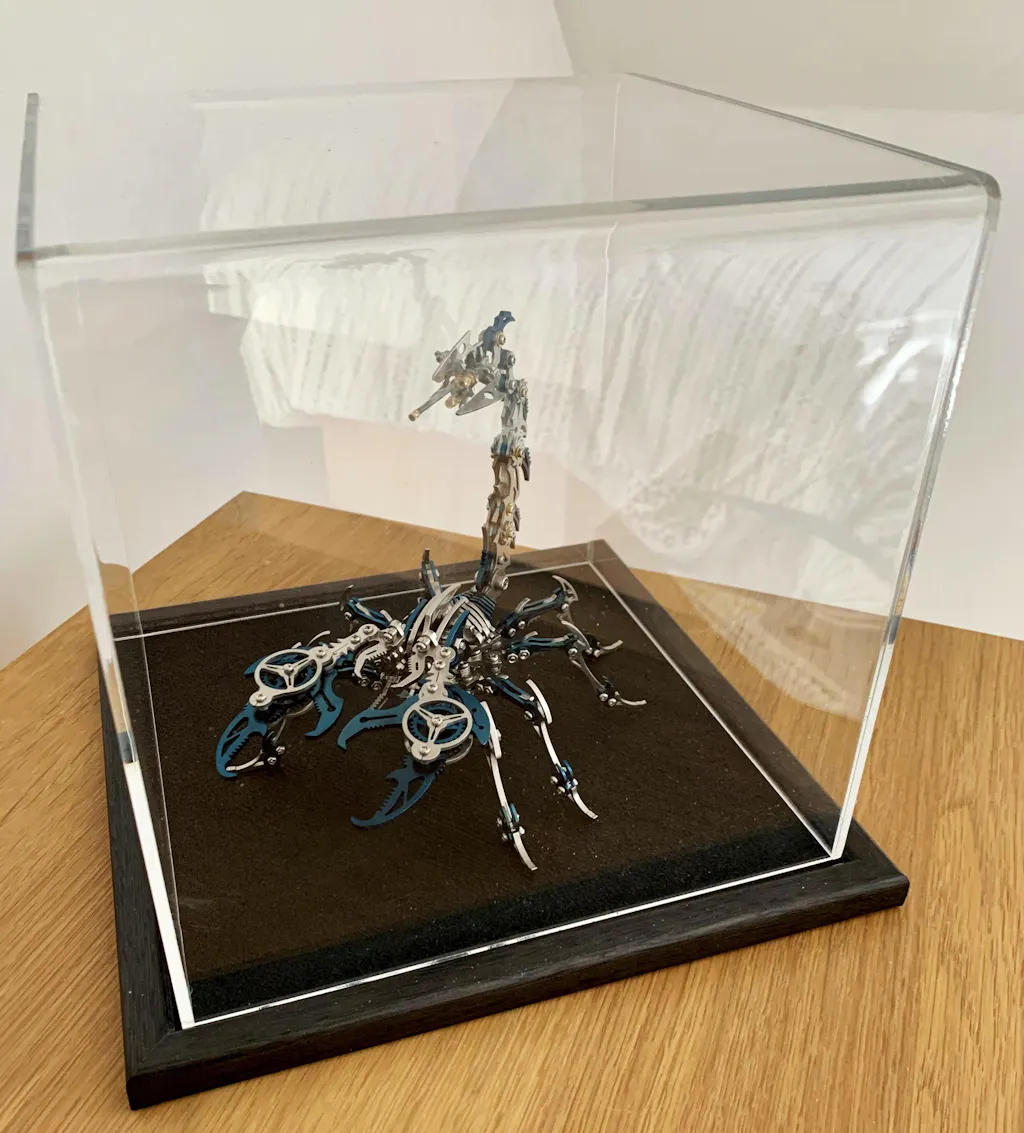 200mm Cube Acrylic Display Case including a Wooden Base (Choice of Base ...