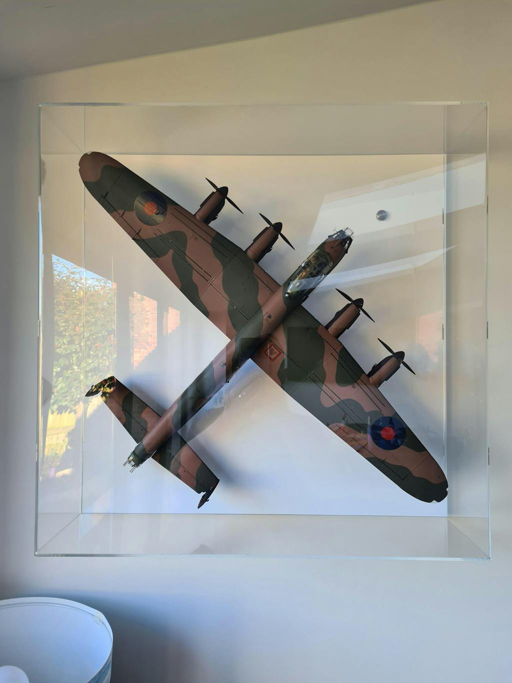 Custom Sized Wall Mounted Acrylic Display Case with a choice of Back ...