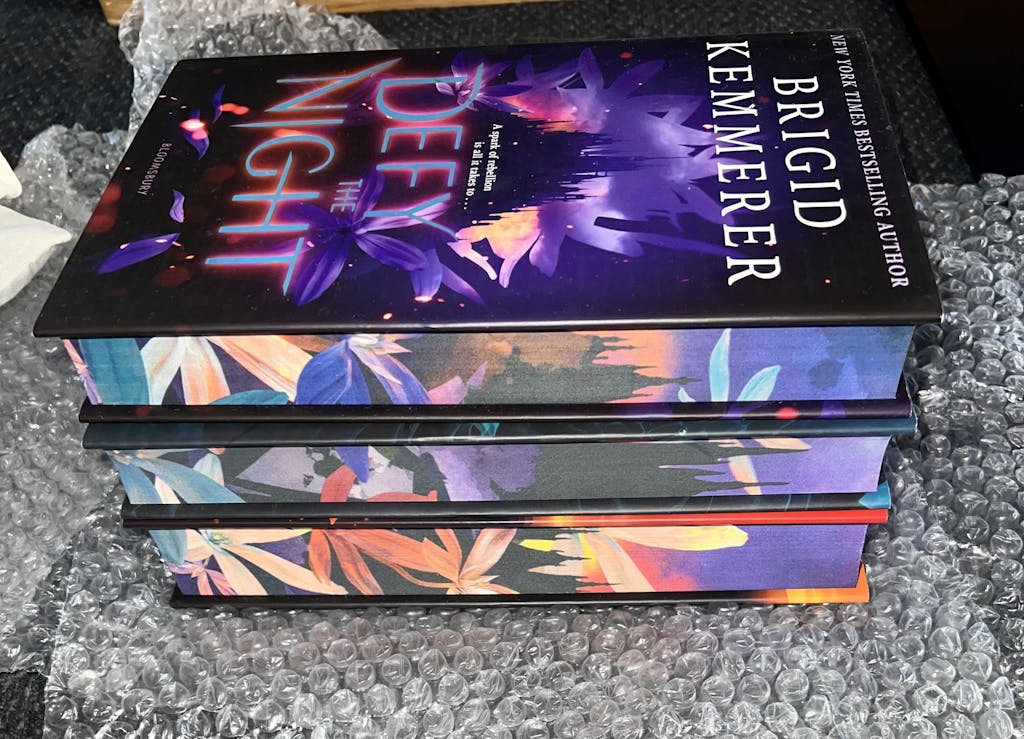 Defy the Night by Brigid Kemmerer - Special Edition – AcryliPics.com