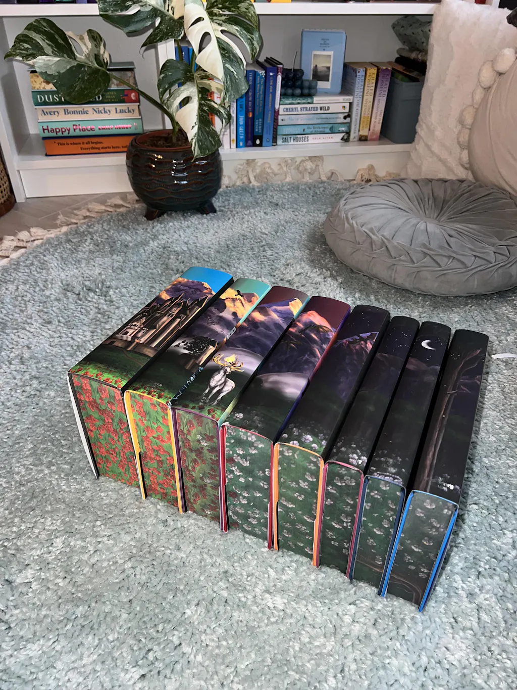 MEGA SALE: TOG X TERRASEN by Sarah J. Maas - Throne of Glass Special E ...