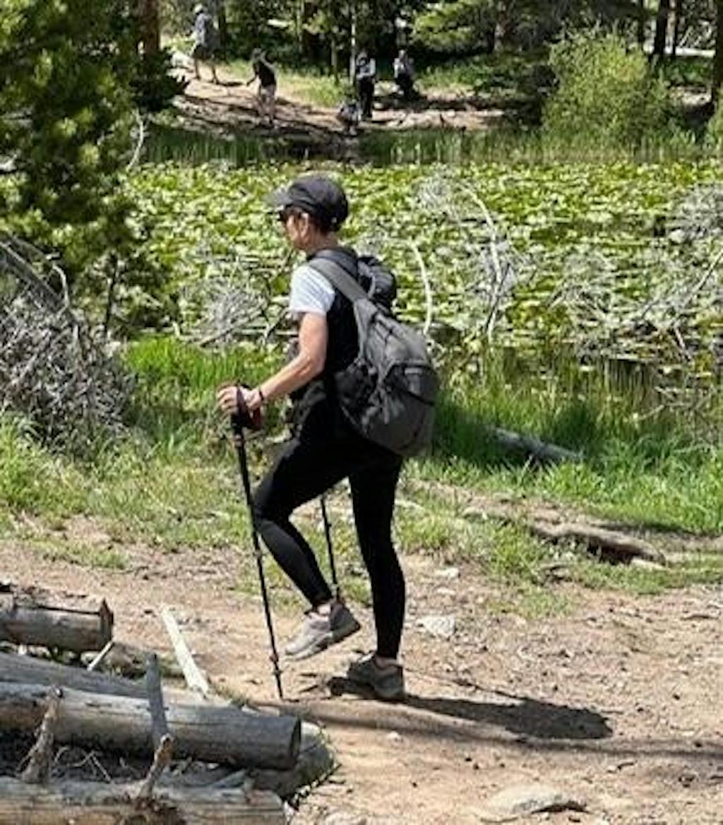 Phoenix Hipwear Shields – Active Phoenix US