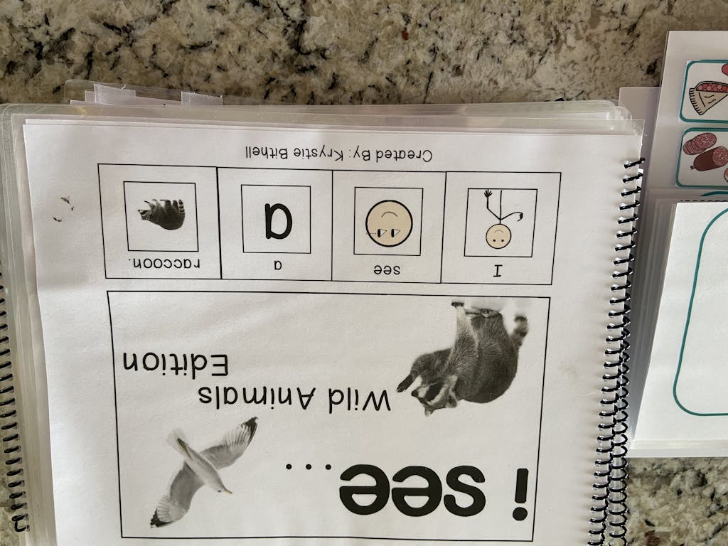 Easter Jellybean Adapted Book (Printable PDF + Digital) – AdaptEd 4 ...