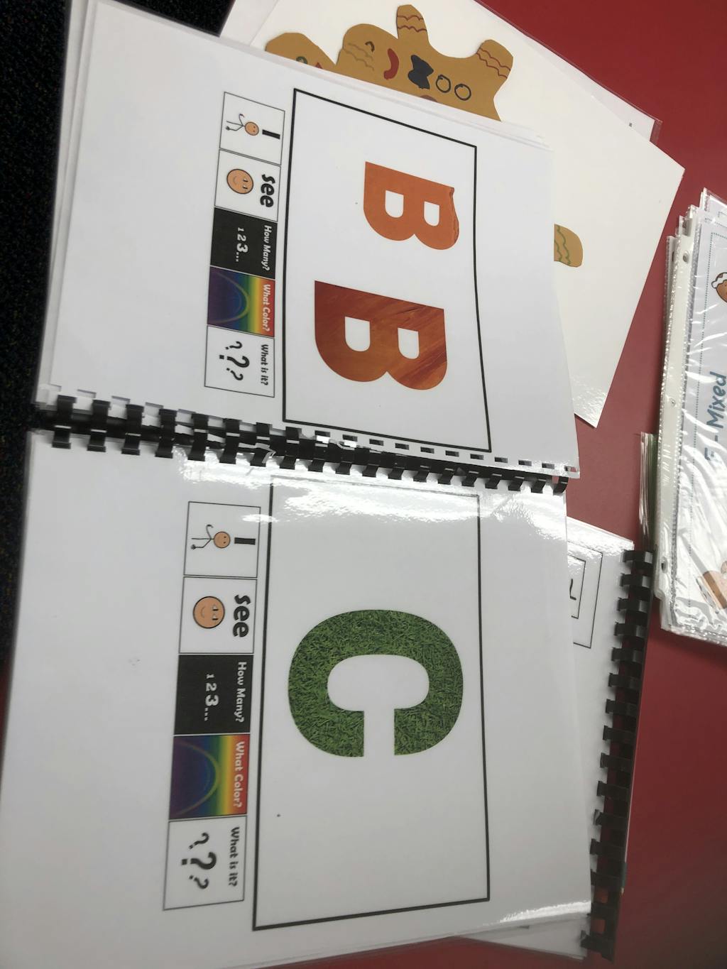 Free Life Skills Thanksgiving Sorts File Folders (Printable PDF + Digi ...