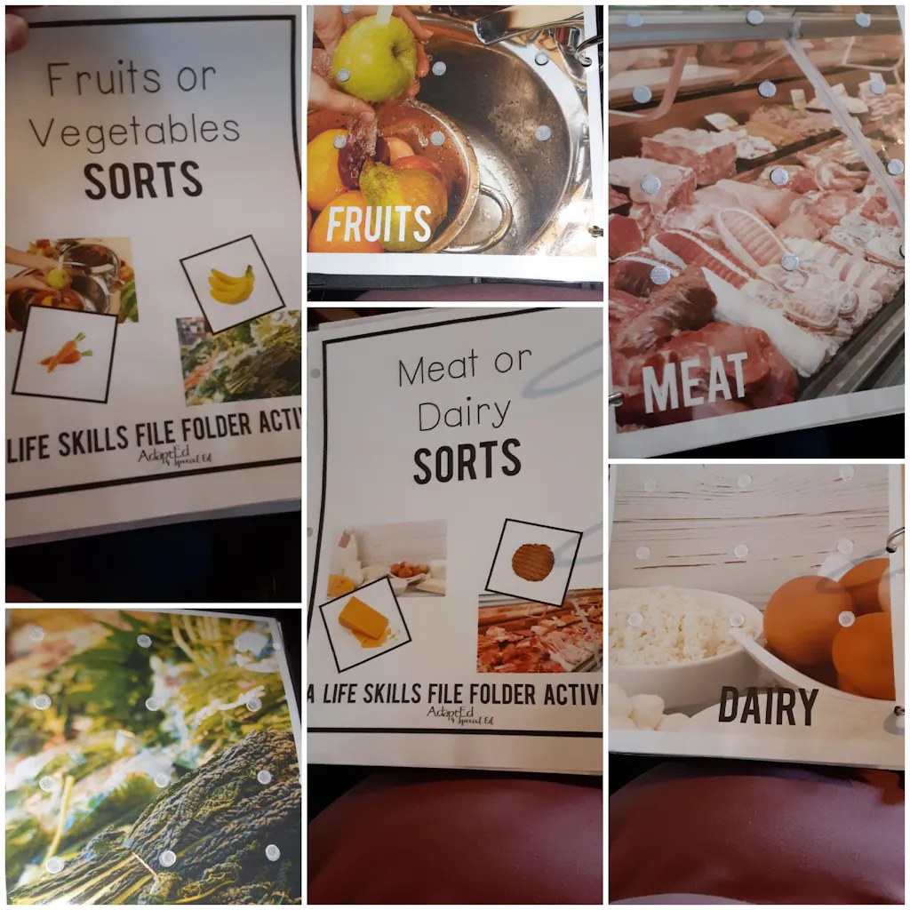 Life Skills Picture Sorts: Community Signs, Independent Living ...