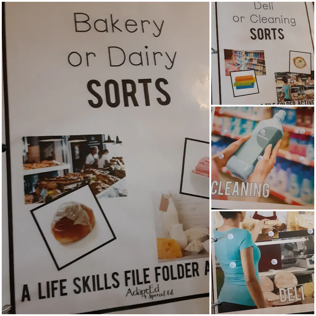 Life Skills Picture Sorts: Community Signs, Independent Living ...