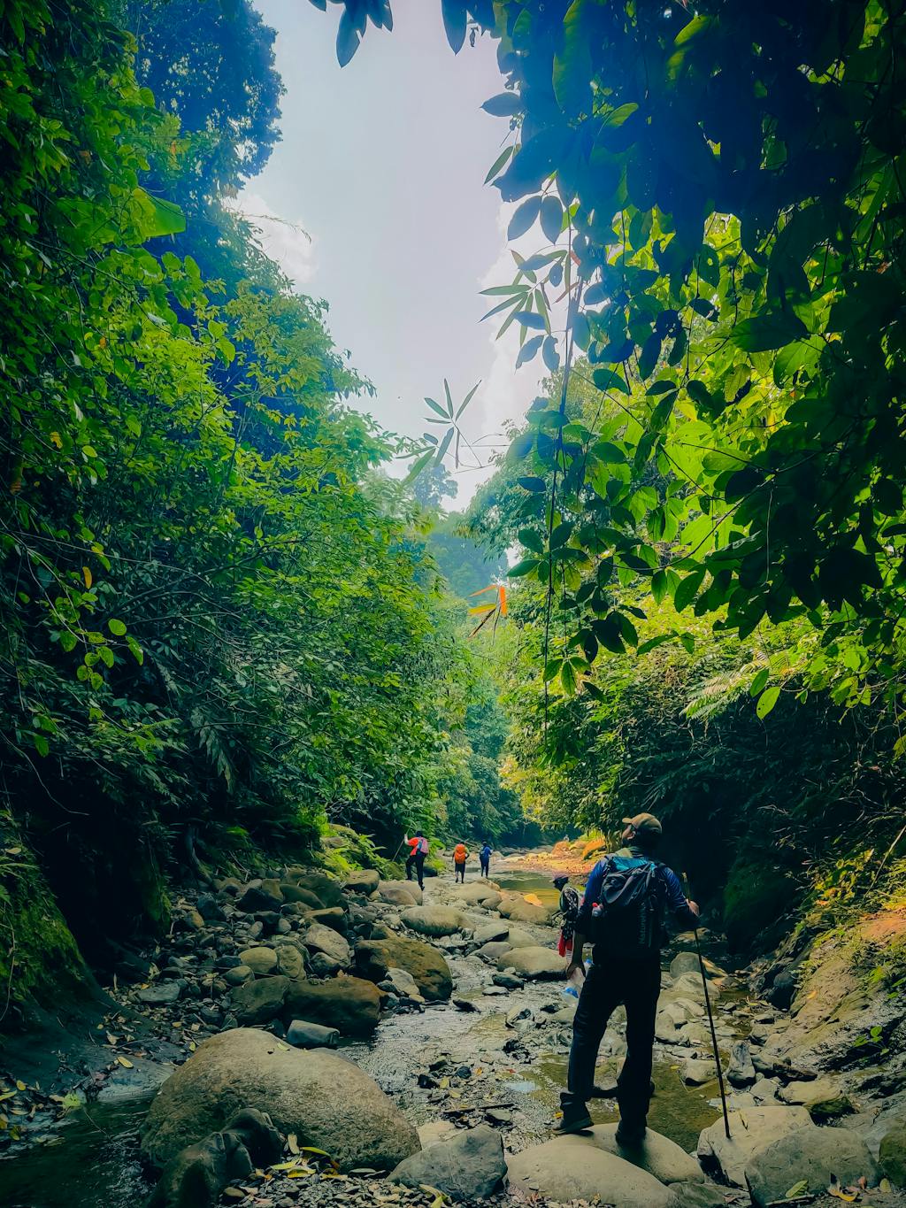 চলো পাহাড়ের দেশে - Adar Bepari (Shop)