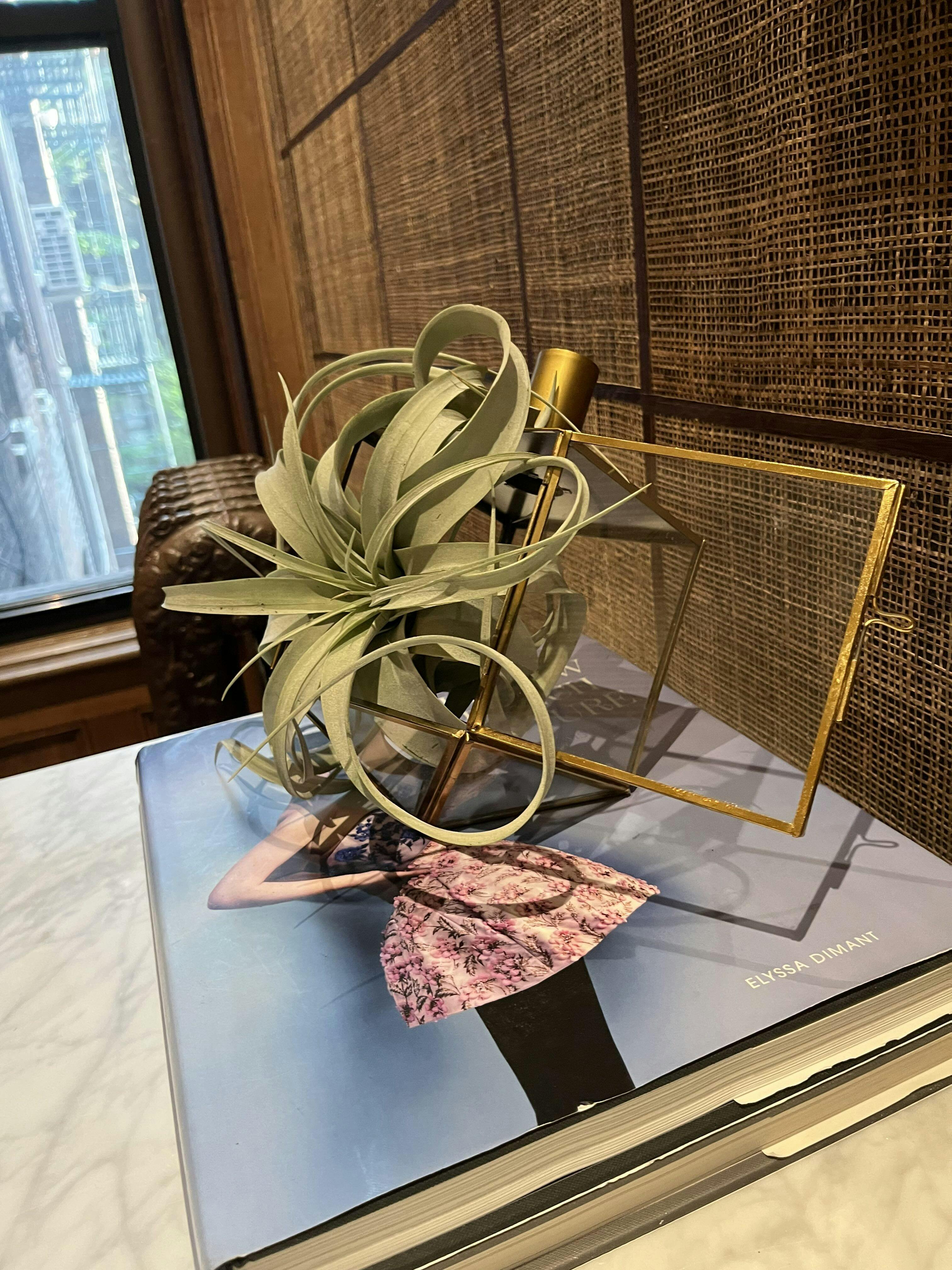 Talia Dreidel Terrarium - Gold