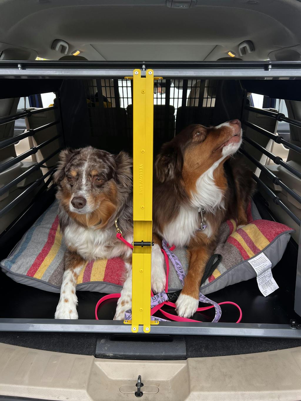 Variocage Double Crate - Crash Tested Dog Cage for SUVs – AdeoPets