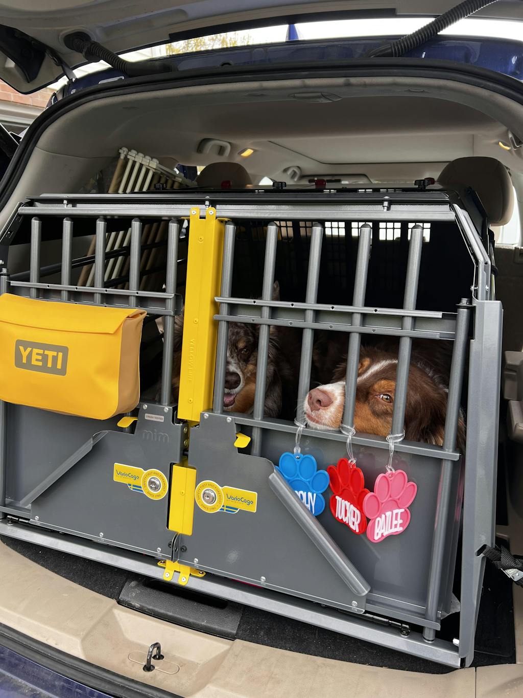 Variocage Double Crate - Crash Tested Dog Cage for SUVs – AdeoPets