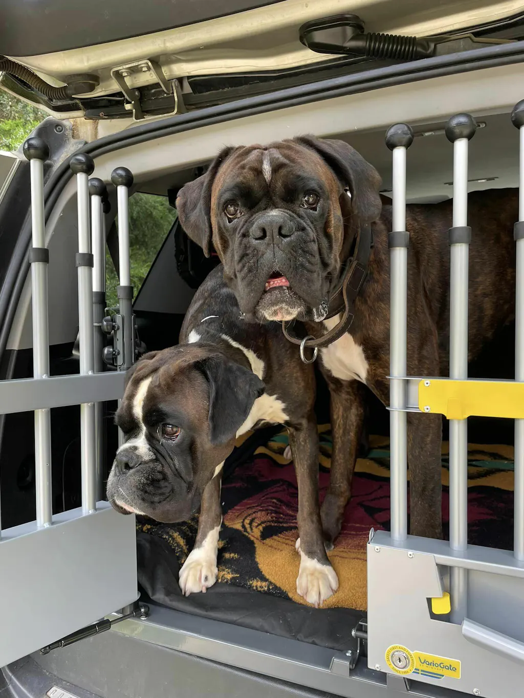 Variogate Double - Crash Tested Cargo Barrier for SUVs – AdeoPets