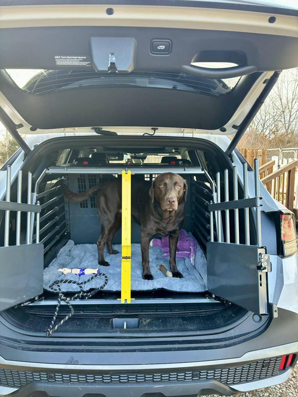 Variocage Double Crate - Crash Tested Dog Cage for SUVs – AdeoPets