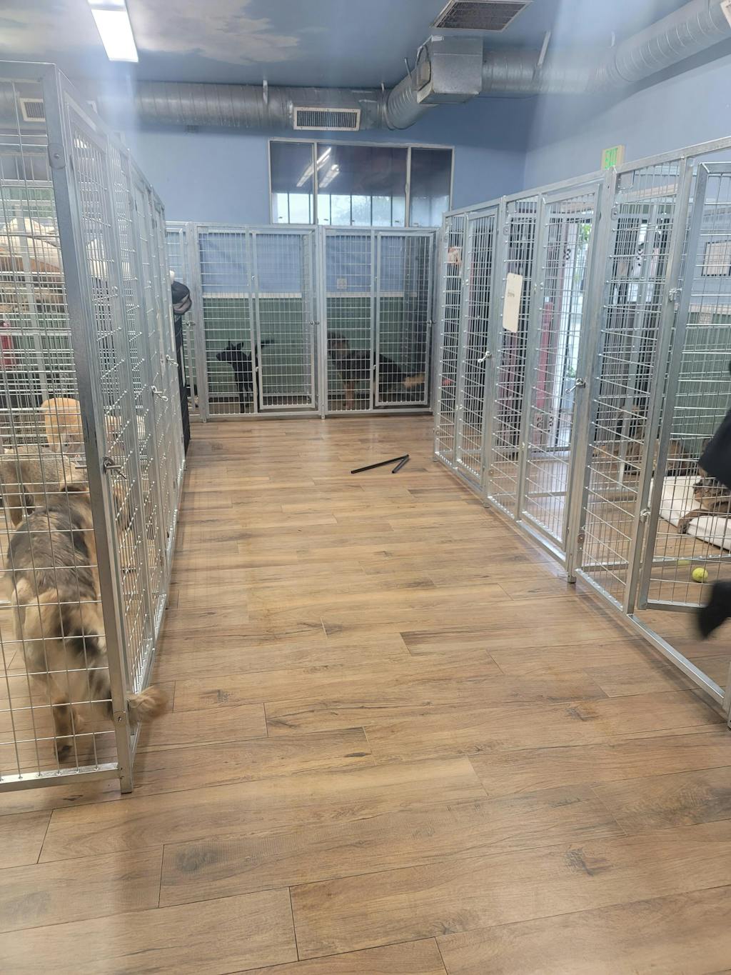 TK Kennels Pro-Series Enclosed Multi-Dog Kennel for Indoor/Outdoor Use ...