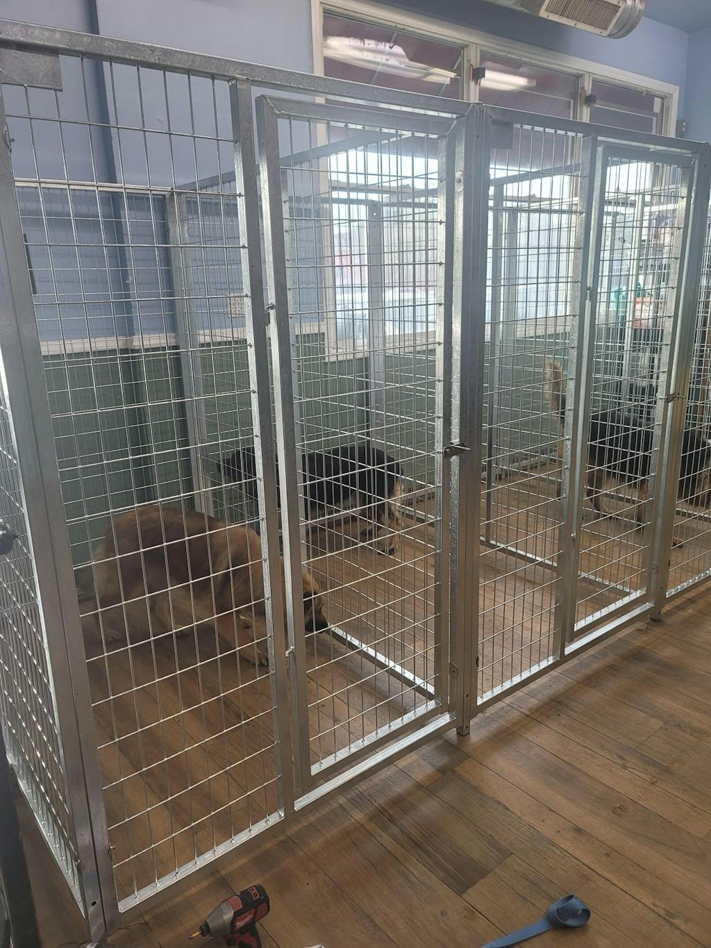TK Kennels Pro-Series Enclosed Multi-Dog Kennel for Indoor/Outdoor Use ...