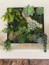 Moss Wall Kit