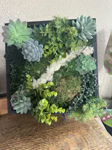 Moss Wall Kit