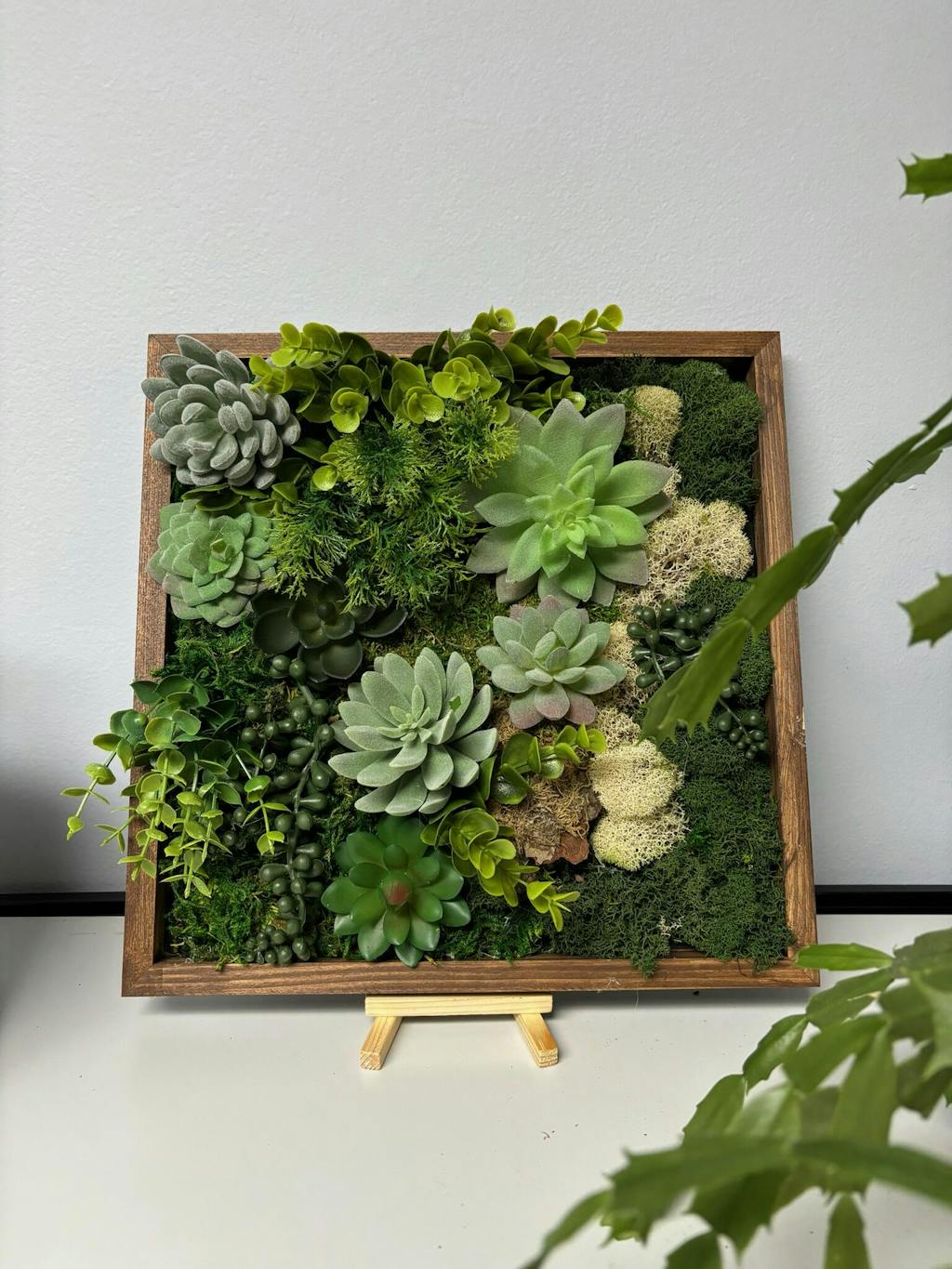 Moss Wall Kit