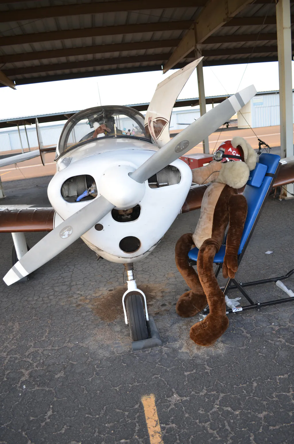 All Products – Aerocreeper