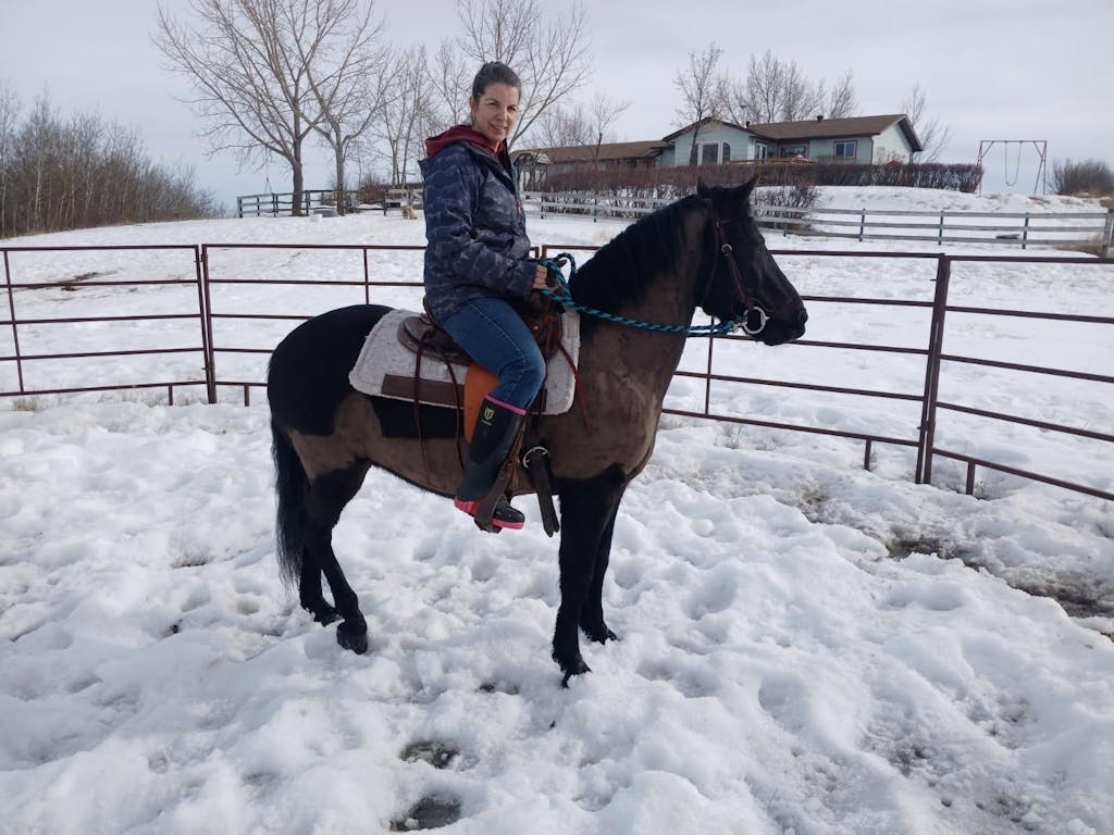 CalmRide Baucher Snaffle | Agador’s Bits That Change Rides