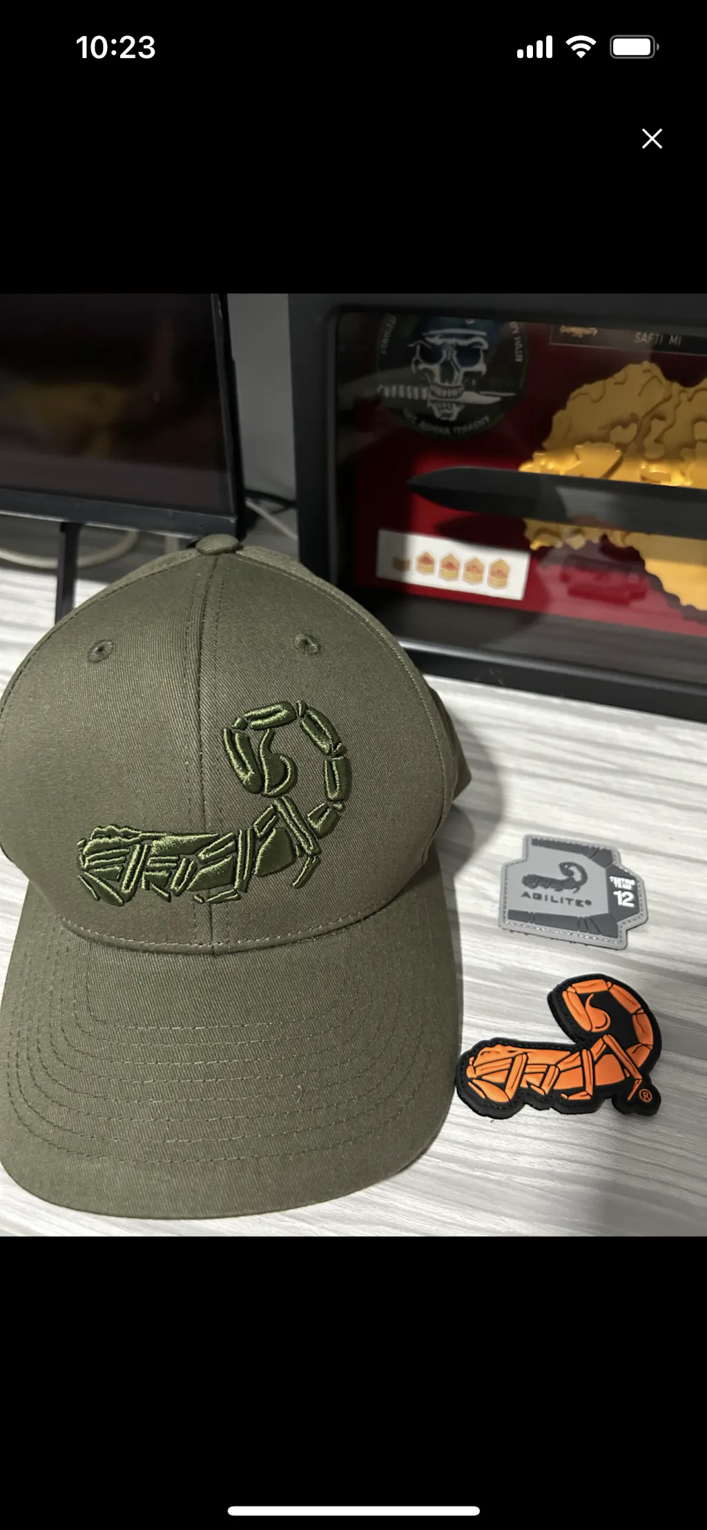 Agilite Scorpion Logo Hat