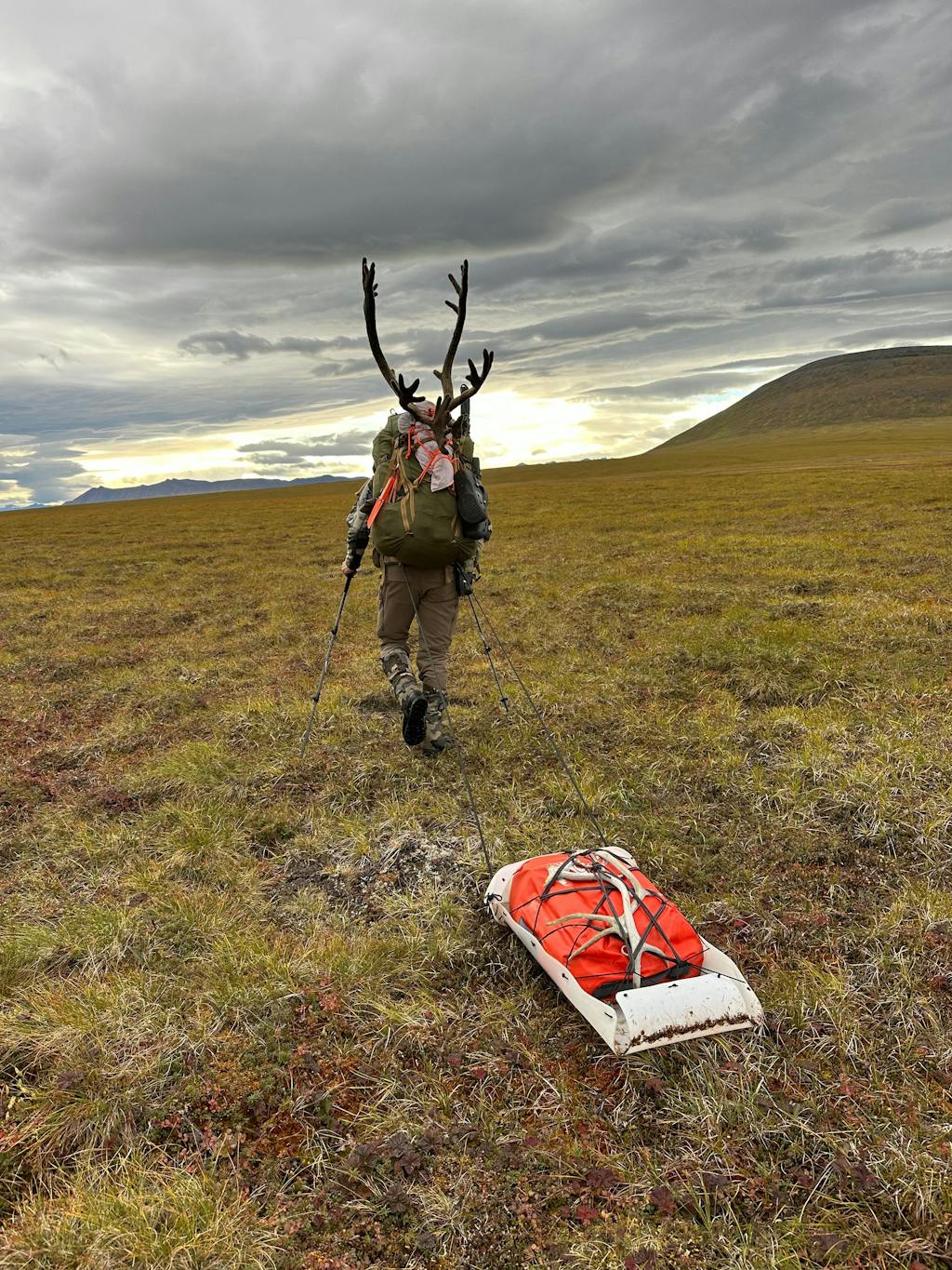 LB Flex Sled – Alaska Gear Company