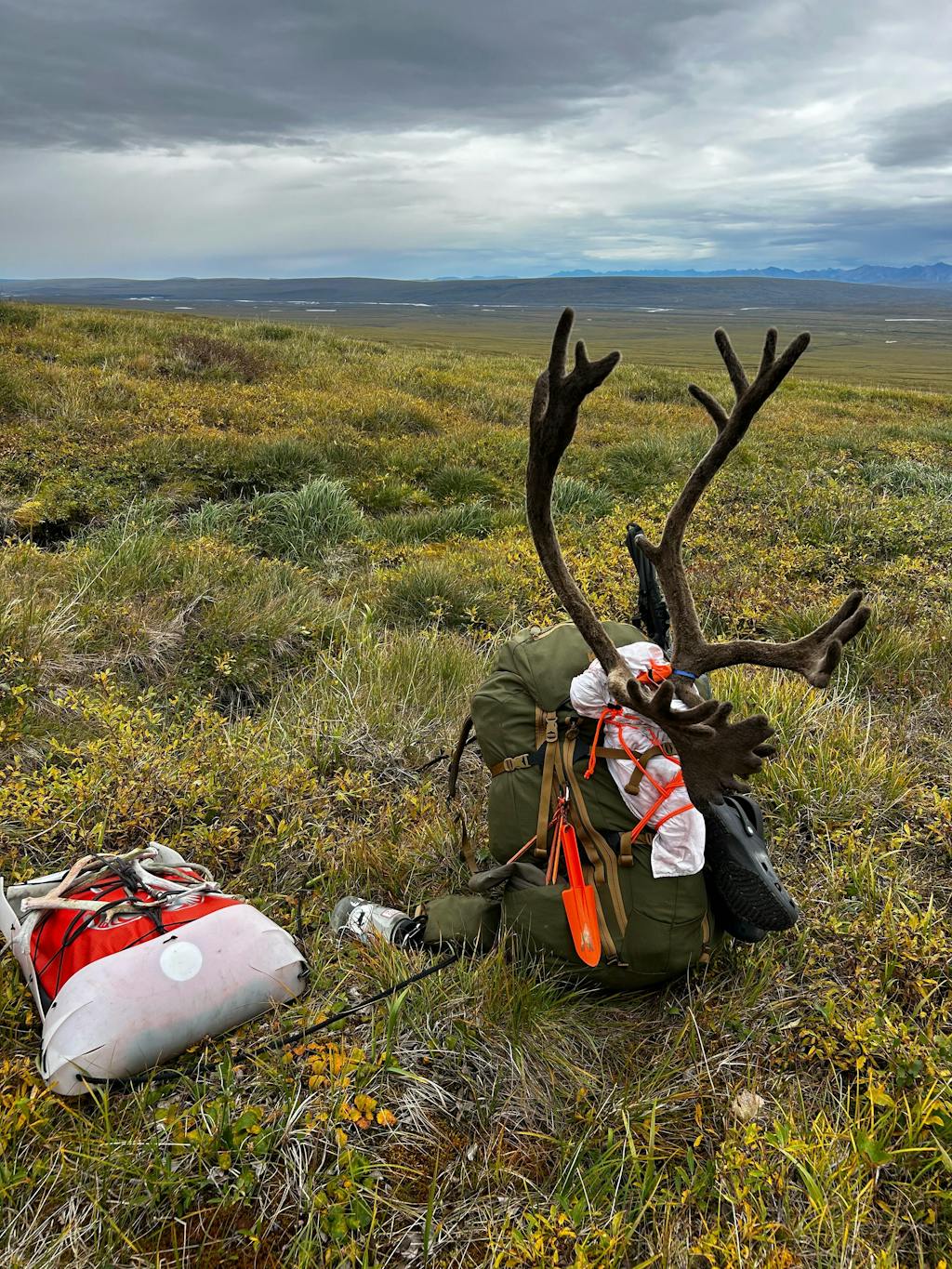 LB Flex Sled – Alaska Gear Company