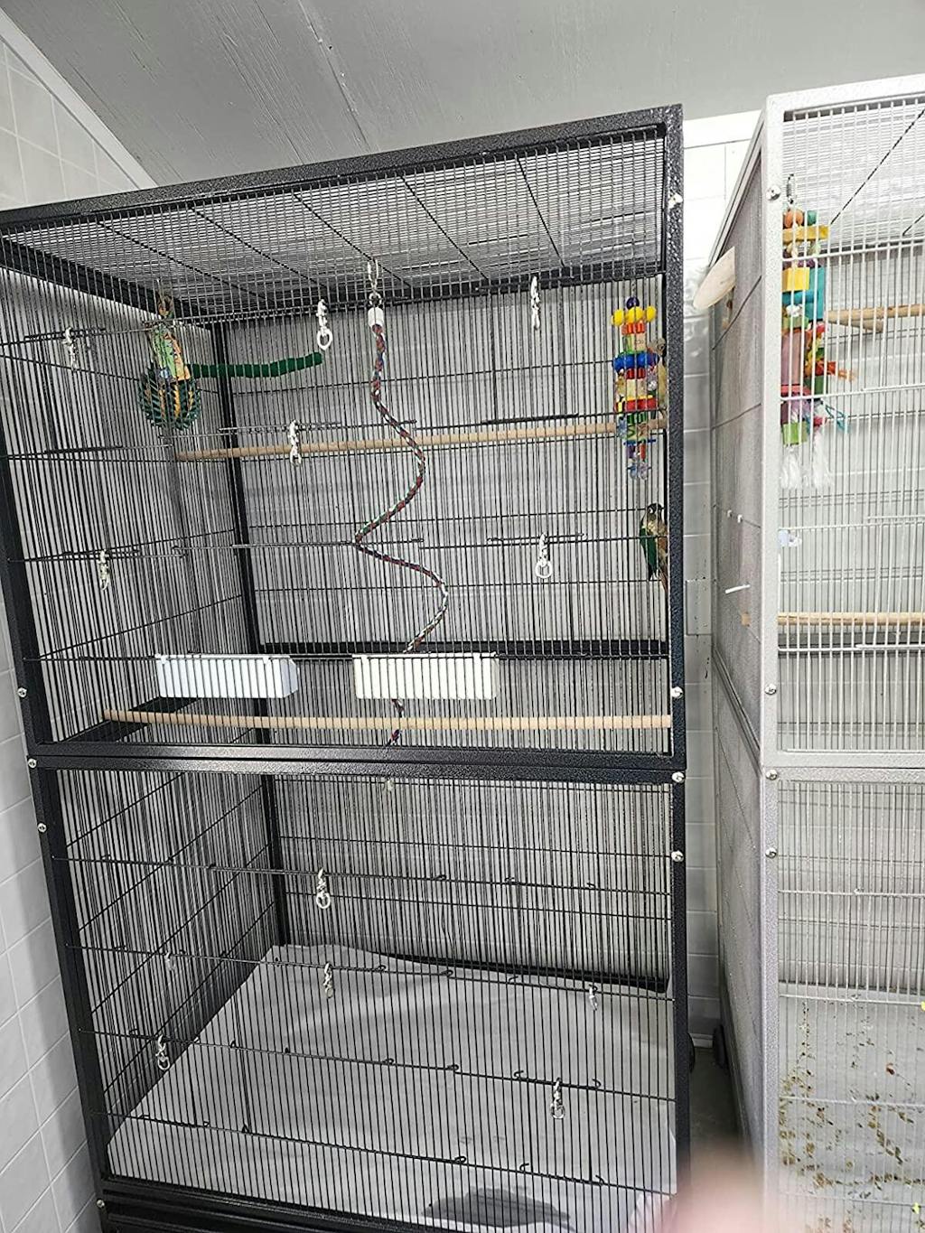 Extra Large Flight Cage 40x30x72 | Spacious Parrot Cage – Alex's Bird ...