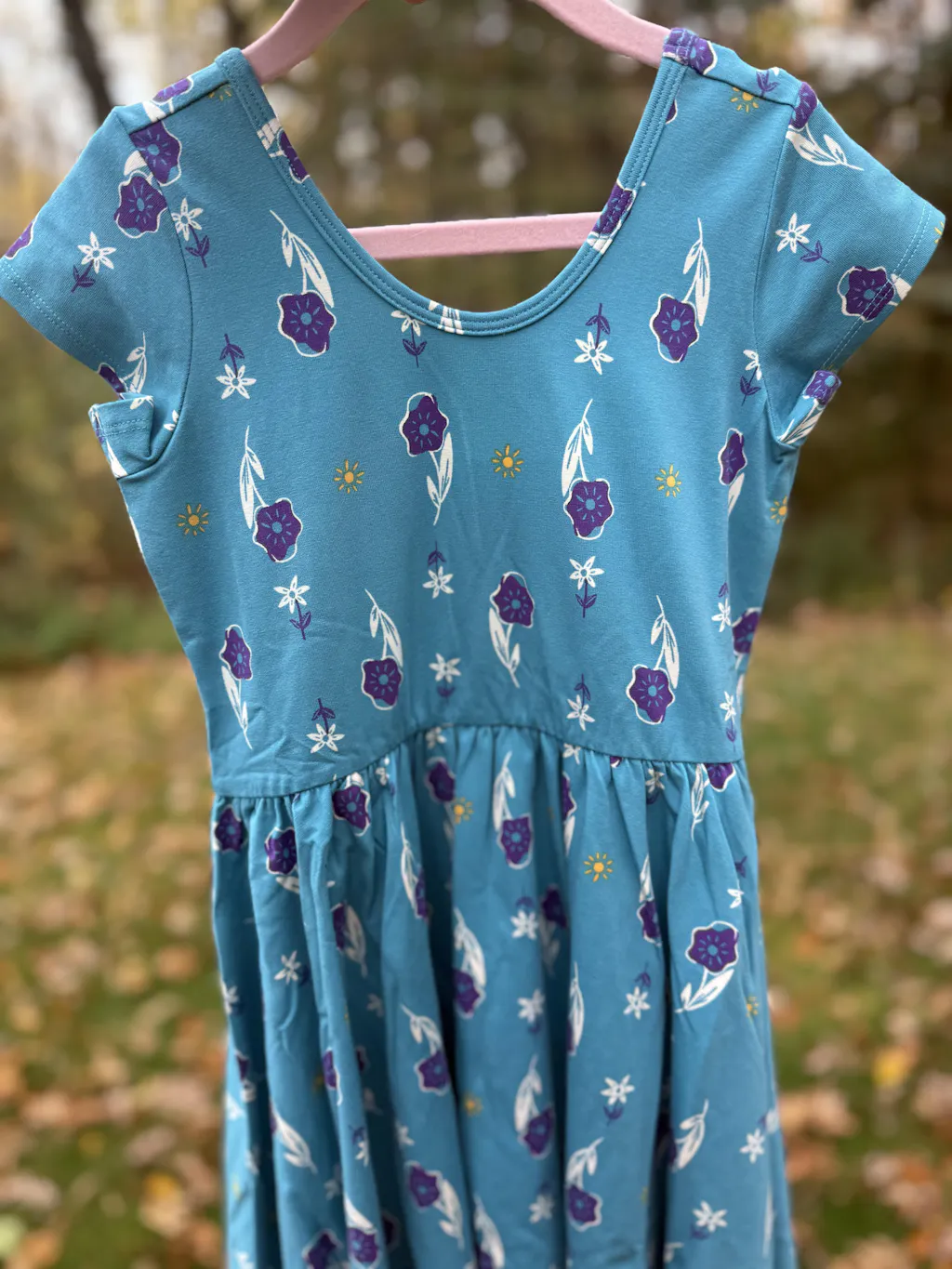 The Summer Sleeve Ballet Dress in Solstice – Alice + Ames