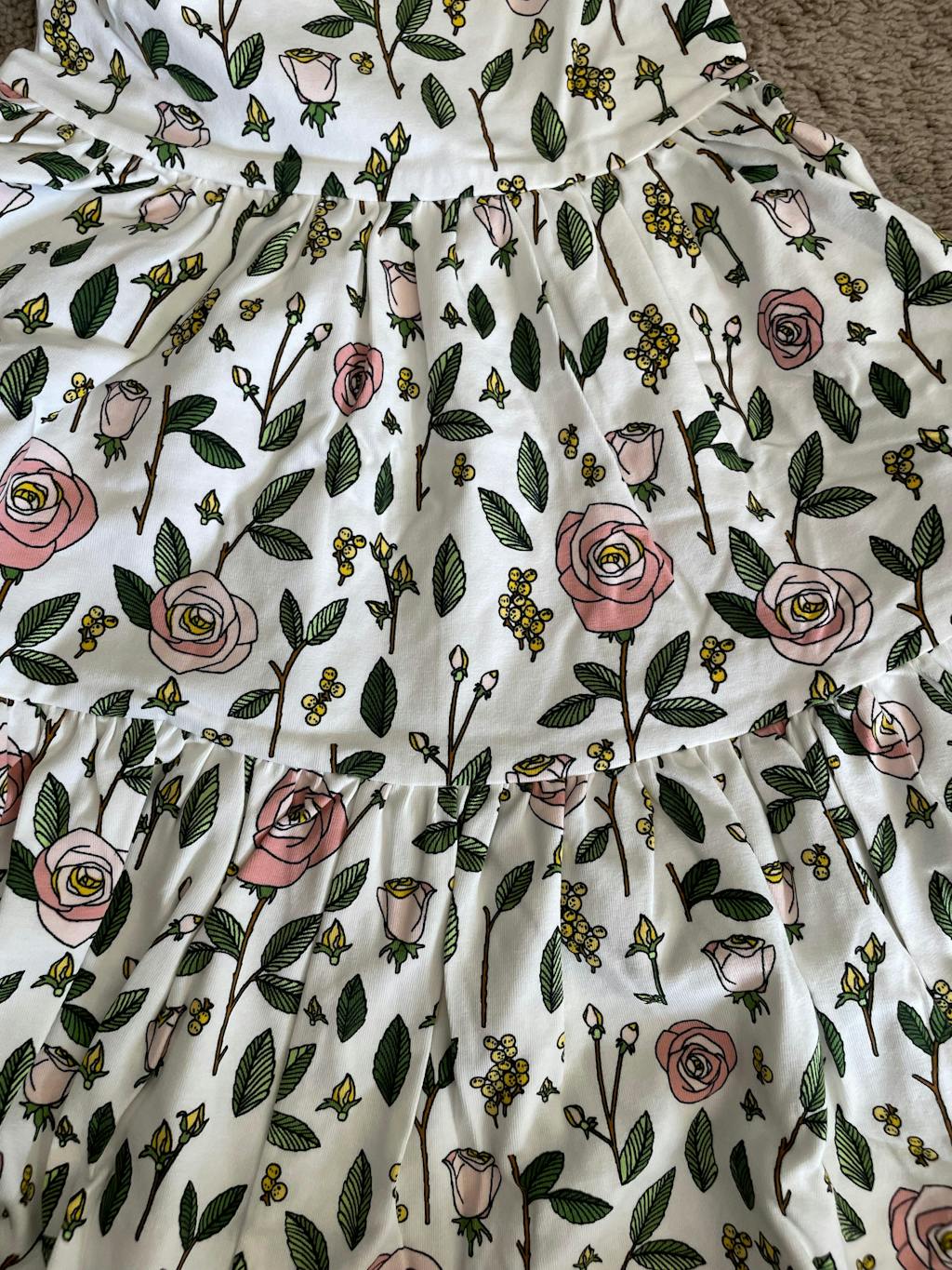 The Juliet Dress in First Bloom – Alice + Ames