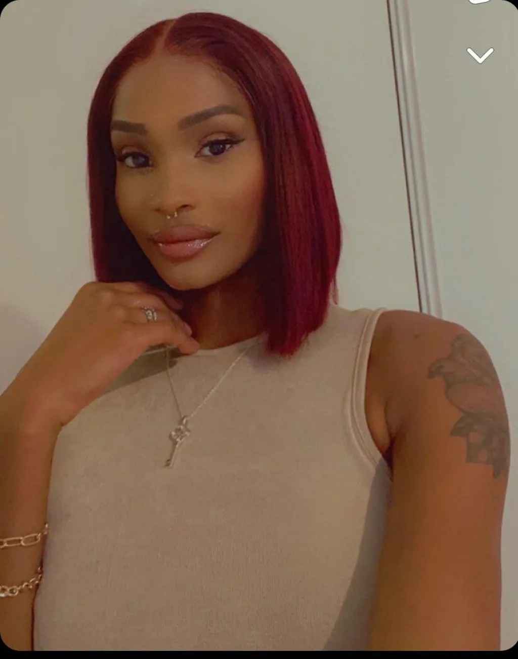 Ali Grace Wigs 99J Lace Wig Brazilian Straight Lace Closure Wigs 4x4 H ...