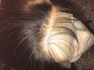 Alipopwigs.com Best Lace Front Human Hair Wig & Virgin Hair Bundles ...