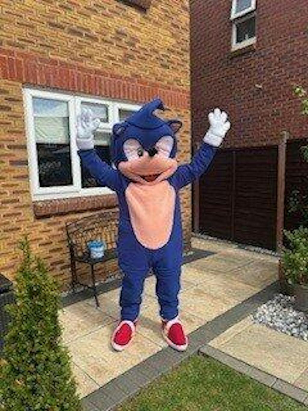Sonic the Hedgehog (All About Costumes)