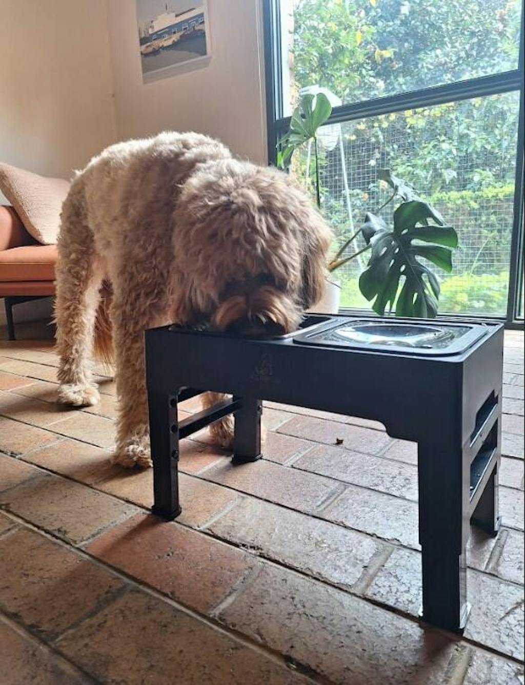 All Fur You - Smart and Unique Pet Products – All Fur You Store