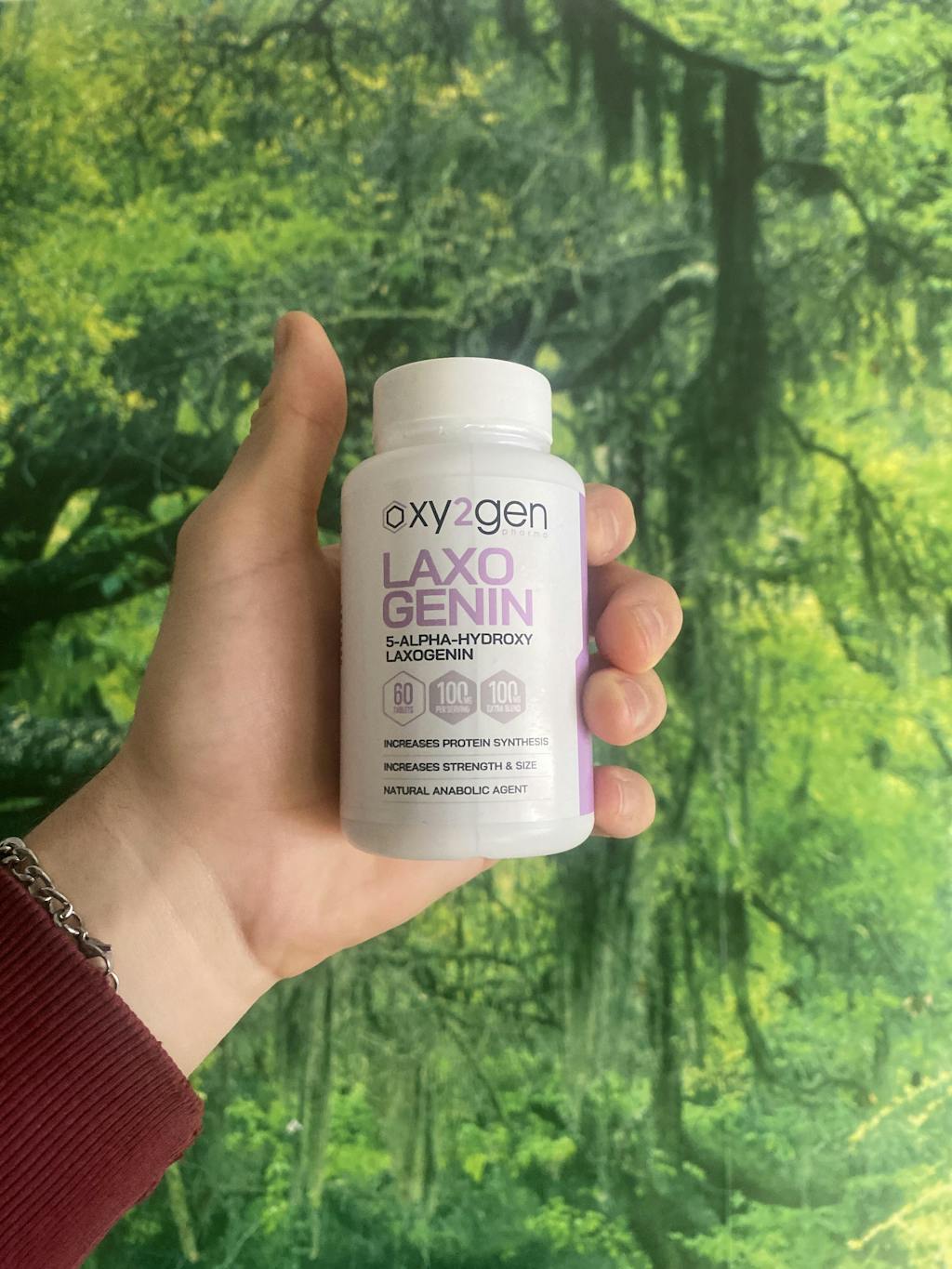 Laxogenin 100 Extra Strong 60 Tablet Natural Anabolic Agent – All In Supps